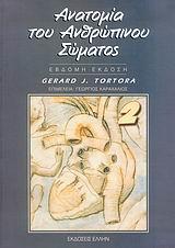 ΑΝΑΤΟΜΙΑ ΤΟΥ ΑΝΘΡΩΠΙΝΟΥ ΣΩΜΑΤΟΣ ΤΟΜΟΣ 2ΟΣ