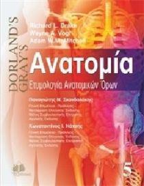 ΑΝΑΤΟΜΙΑ: ΕΤΥΜΟΛΟΓΙΑ ΑΝΑΤΟΜΙΚΩΝ ΟΡΩΝ